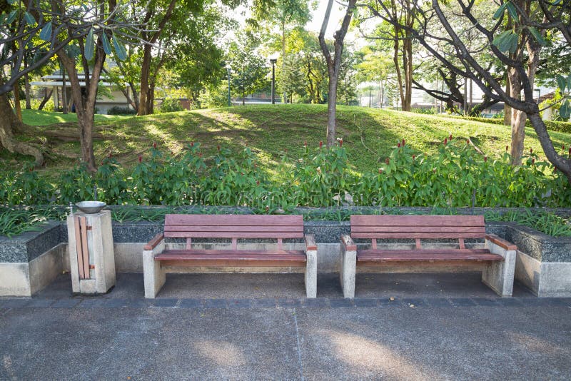 Bench in the park stock photo. Image of bench, plant - 69872350