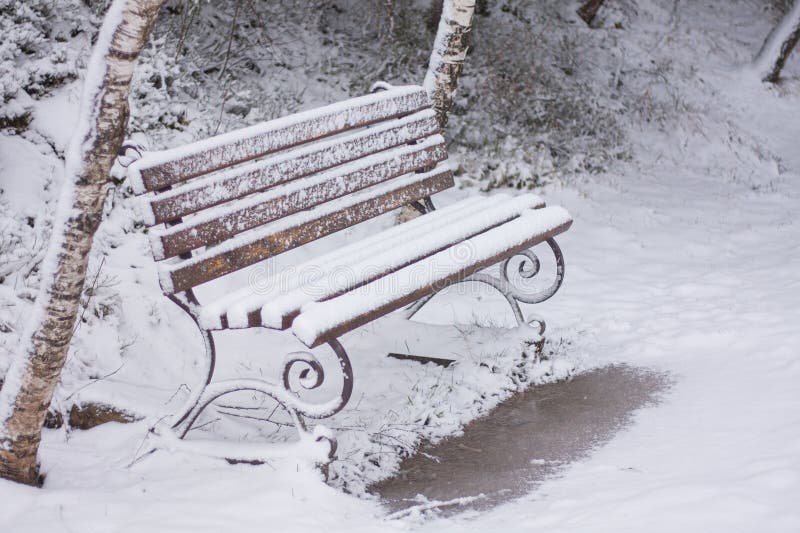 Bench in the Park is Covered with Snow Stock Image - Image of snowed ...
