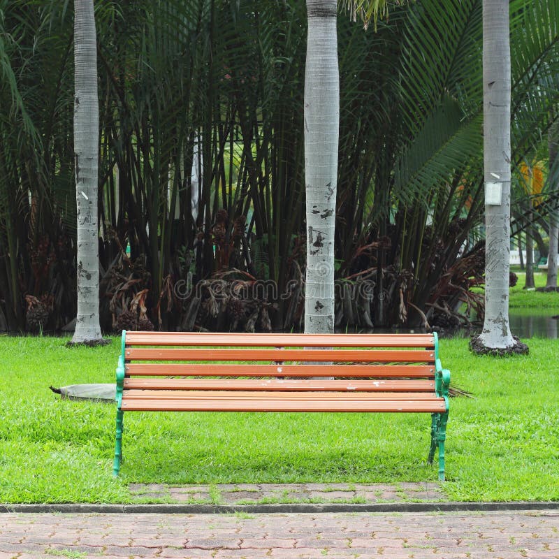 Bench in the park stock image. Image of path, nature - 79349245