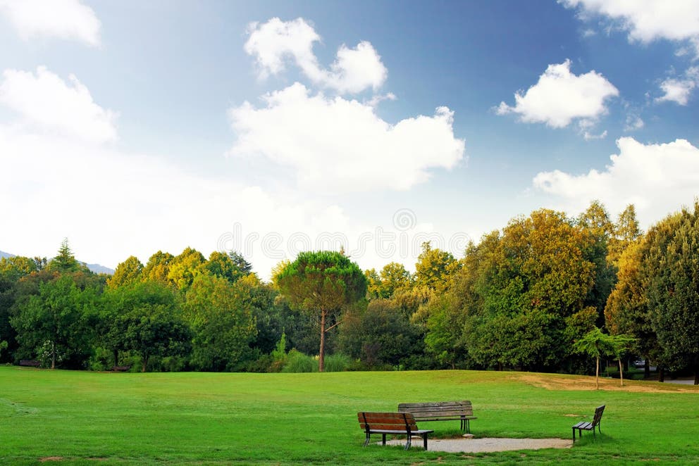 The Bench in the Park during Early Spring Day Stock Photo - Image of ...