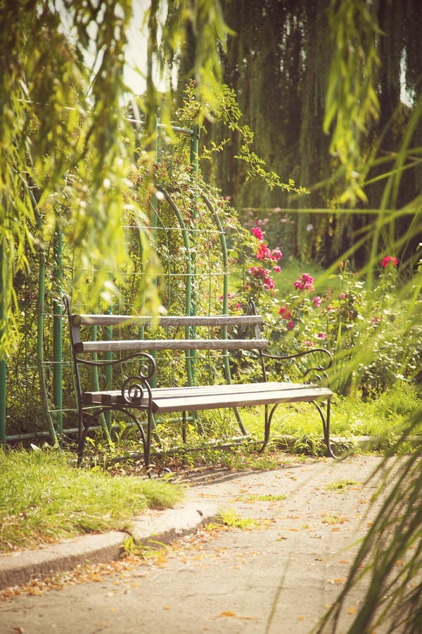 Alone Bench in the Green Yard Stock Photo - Image of grass, idyllic ...