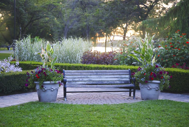Bench in the Park at Evening Stock Image - Image of garden, outdoor ...