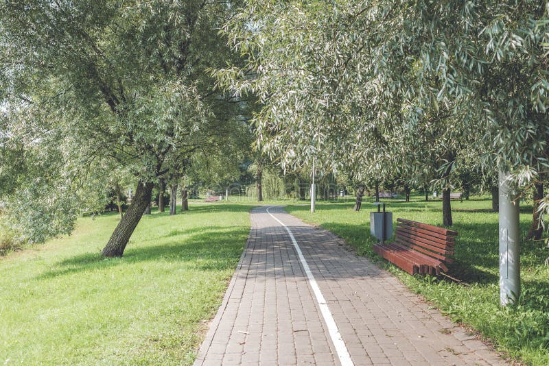 Bench in the Park among the Green Trees and a Track for Running. Park ...