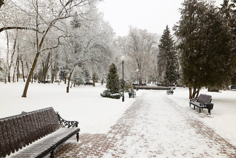 Bench in the Park in Icy Cold Frost. Stock Photo - Image of freeze ...