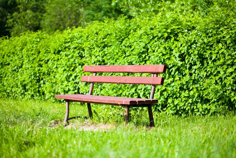 Bench in the park stock photo. Image of lonely, bench - 31756948