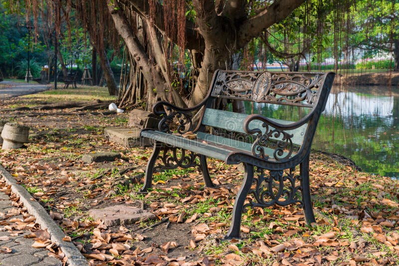 Bench in the park stock photo. Image of scenic, colorful - 36029294