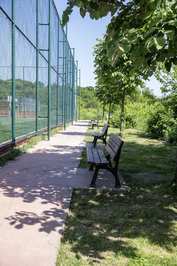 Bench in the Park Near the Playground Stock Image - Image of grass ...