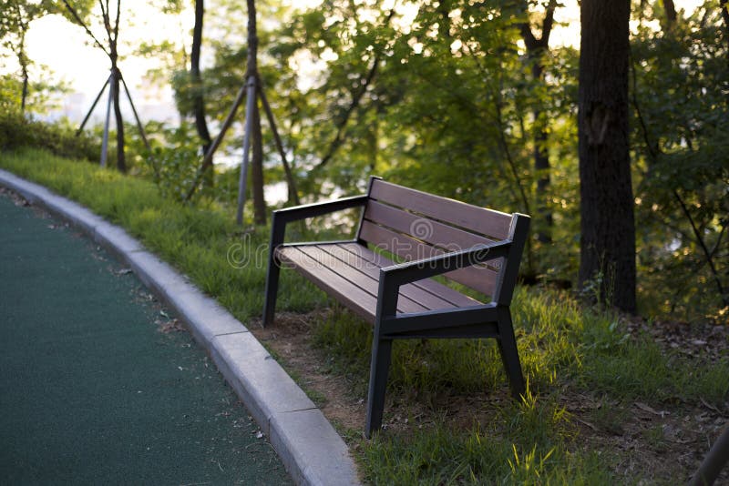 Bench in park stock image. Image of bench, park, sunshine - 43547575