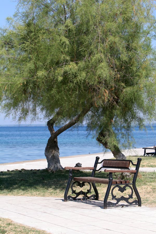 Bench in the Park Next To the Sea and Beach Stock Photo - Image of ...