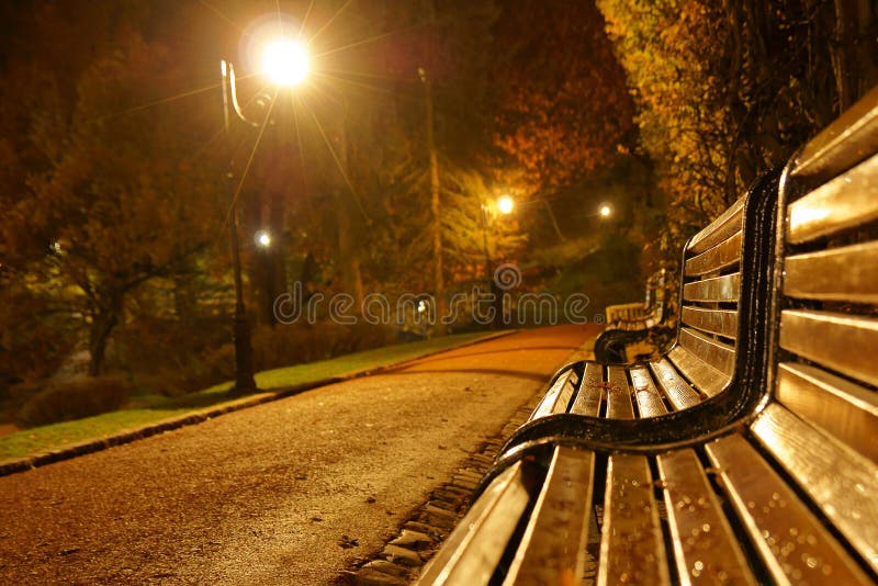 Park bench at night stock image. Image of night, figure - 20782883