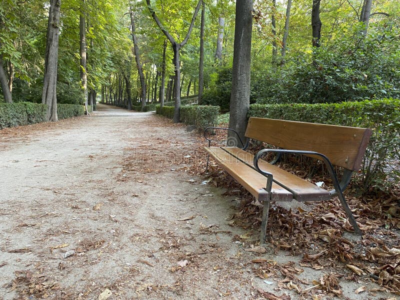 Empty Bench at the Park on Calm. Stock Image - Image of public, path ...