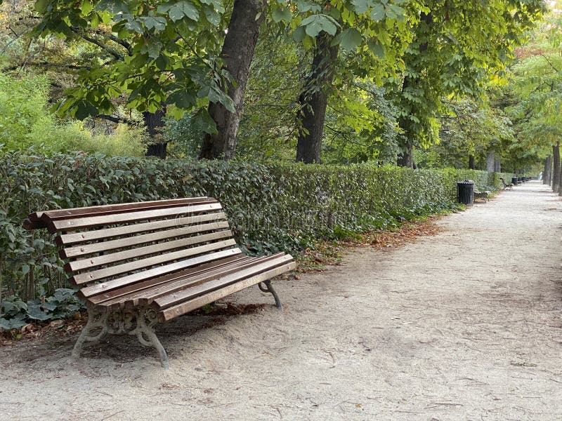 Empty Bench at the Park on Calm. Stock Photo - Image of bangkok ...