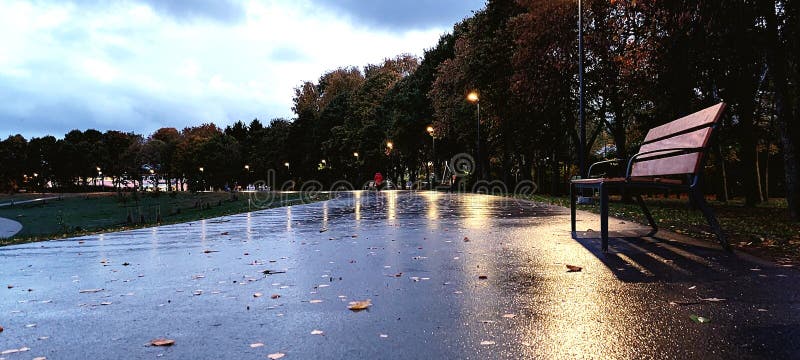 Bench in the Park Rainy Evening Laterns Stock Image - Image of rainy ...