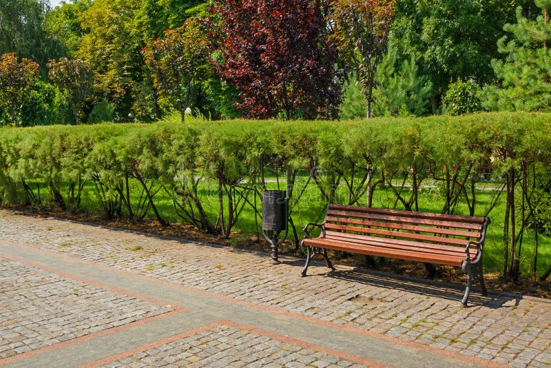 A Bench in the Park on the Sidewalk Against the Backdrop of Greenery on ...