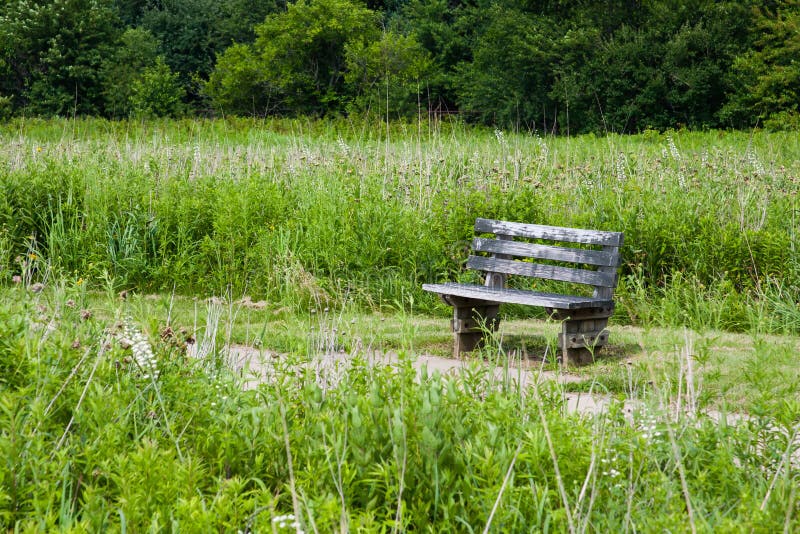 Bench at park stock image. Image of spring, natural, park - 96981671
