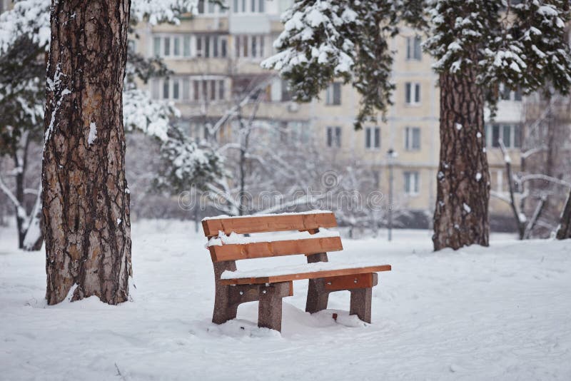Bench in the Park in the Snow Stock Image - Image of snowy, beautiful ...