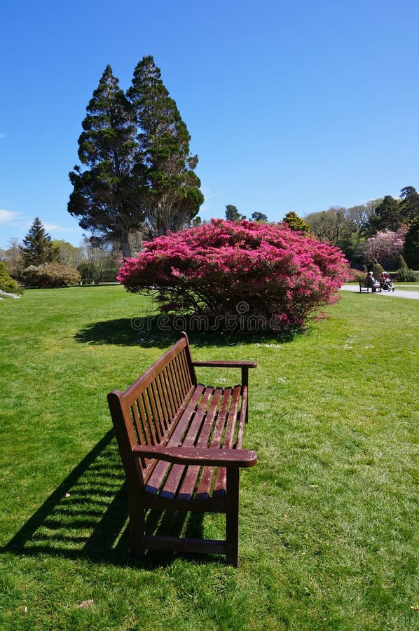 Bench on park stock image. Image of scenic, landscape - 53437733
