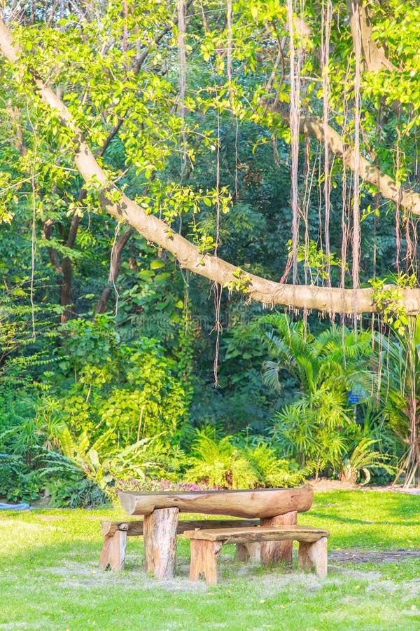 Bench in a park stock image. Image of spring, bench, grass - 69006193
