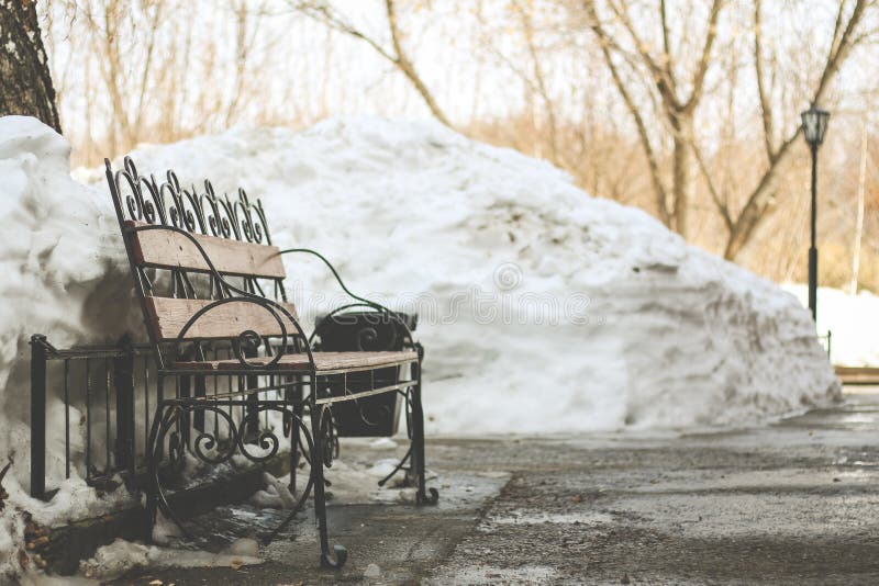 Bench in the Park in the Spring Stock Image - Image of city, alone ...