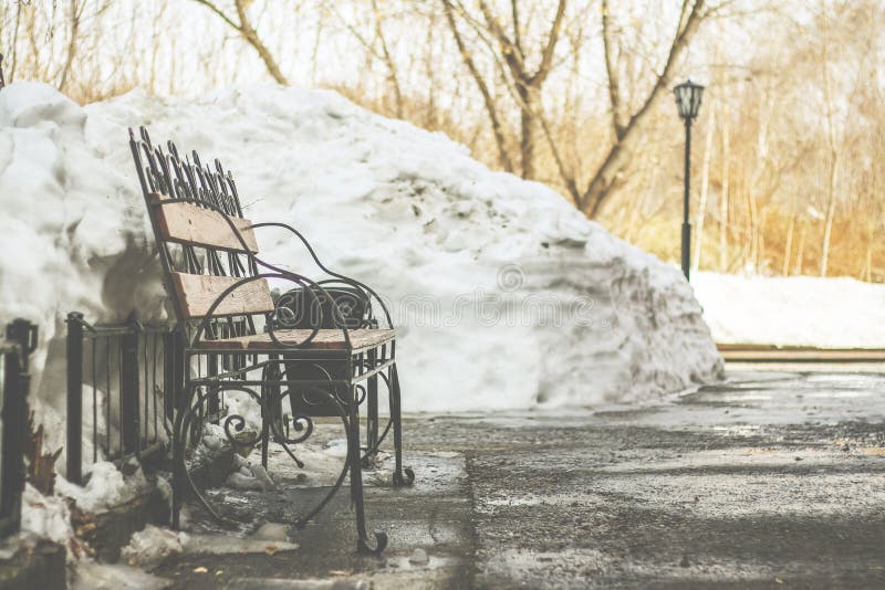 Bench in the Park in the Spring Stock Image - Image of forest, dirt ...