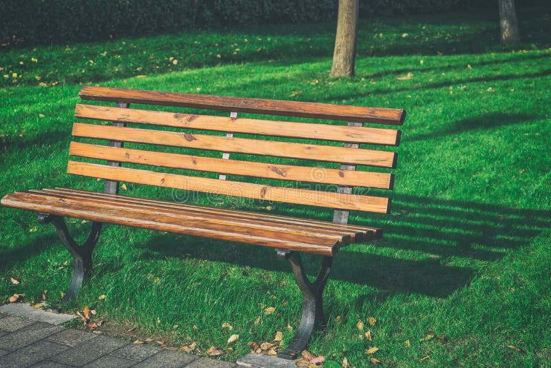 Bench in a Park on Sunny Day Stock Image - Image of park, environment ...