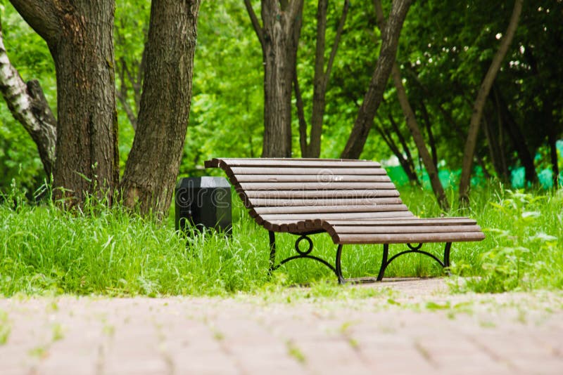 Bench in the Park on a Sunny Summer Day Stock Image - Image of town ...