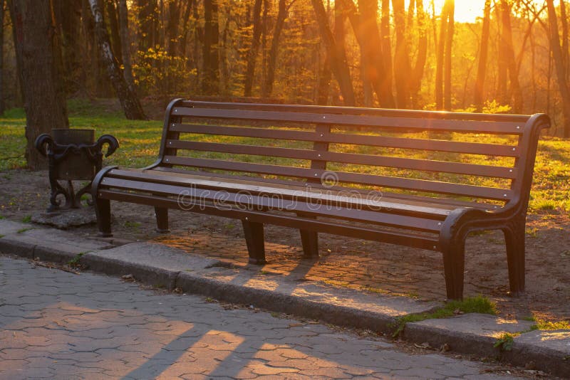 Bench in the Park during the Sunset Stock Photo - Image of natural ...