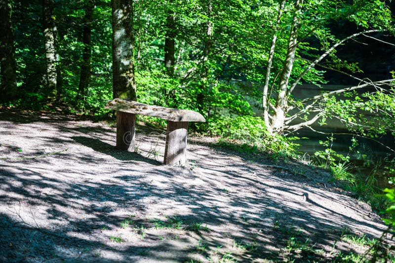 Bench in the Park Surrounded by the Shadows of the Trees Stock Image ...