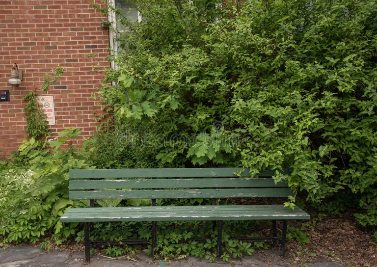 Bench in a park stock image. Image of grass, wood, shrub - 280354189