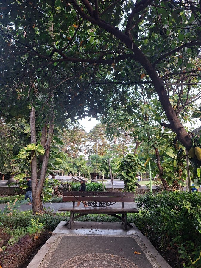 Bench Park Waiting Someone Sitting Stock Image - Image of park, bench ...