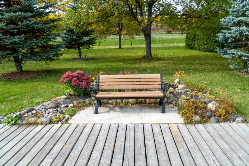 Bench in a Park by a Walking Trail Stock Photo - Image of foliage ...