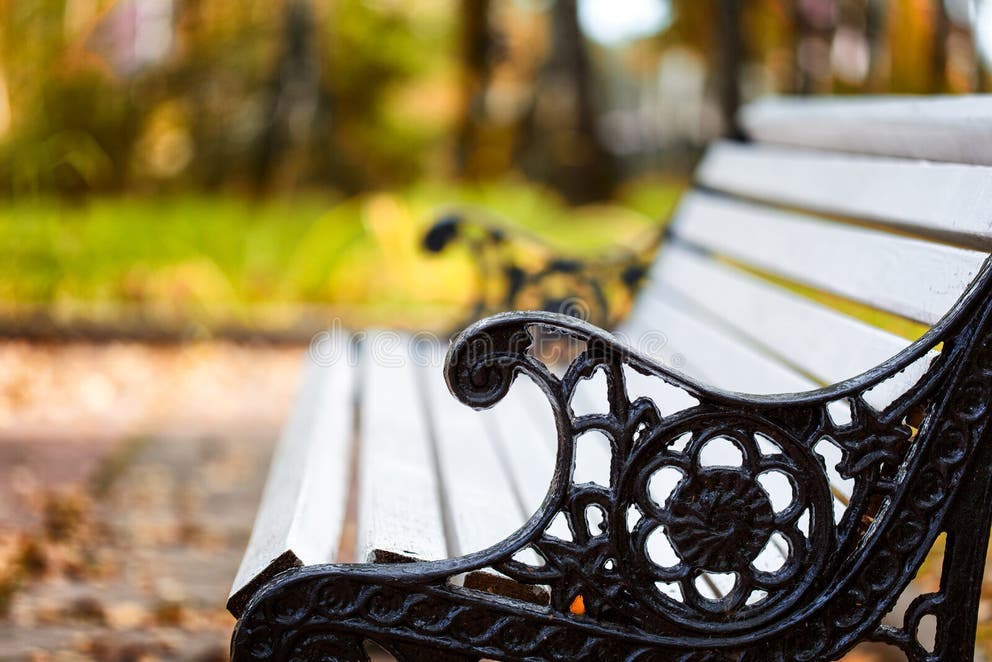 Bench in the park stock photo. Image of outdoors, scene - 34930190