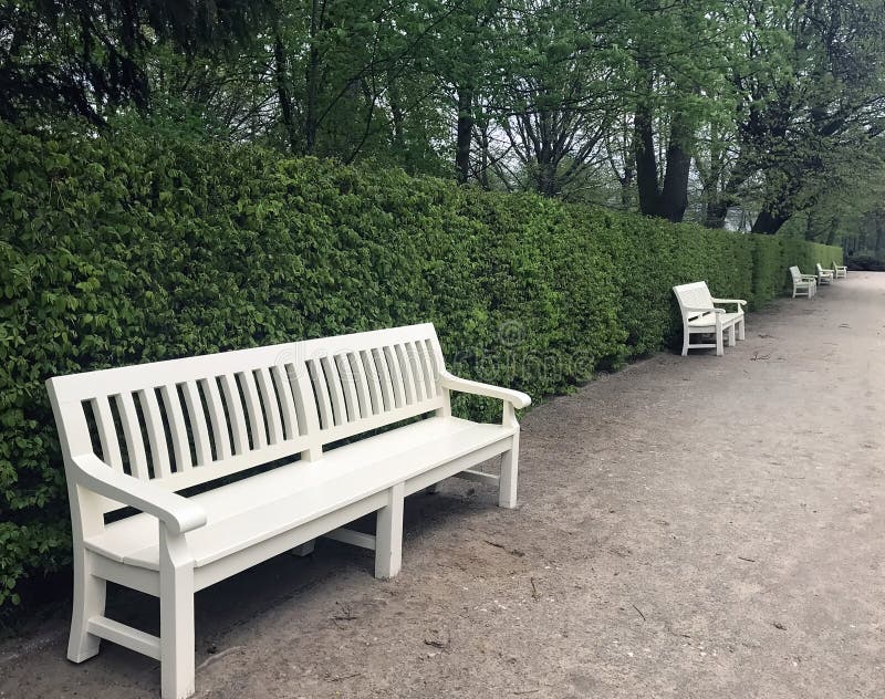 Bench in the Park stock image. Image of recreational - 92786745