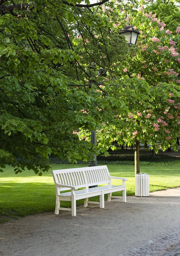 Bench in the park stock photo. Image of season, alley - 31017134