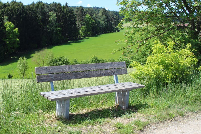 Bench beside the path. stock image. Image of zandt, path - 40834679