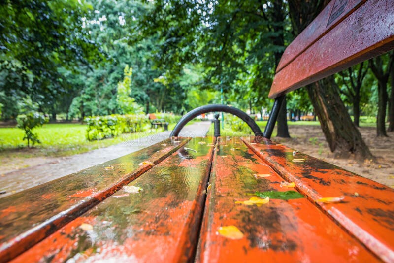 Bench in a Path after the Rain Stops. Summer Park with Wooden Benches ...