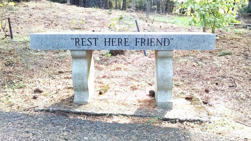 Rest here friend stock photo. Image of bench, rest, path - 110173908
