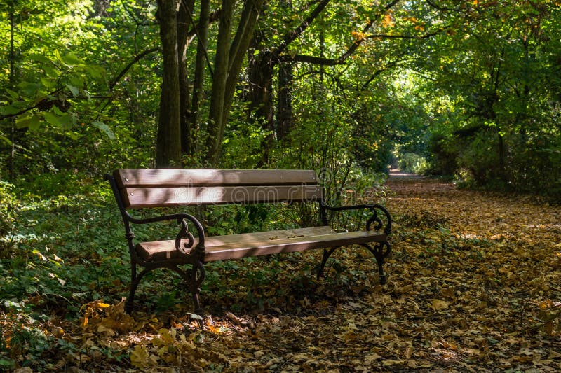 Bench and pathway stock photo. Image of outdoor, foliage - 104125122
