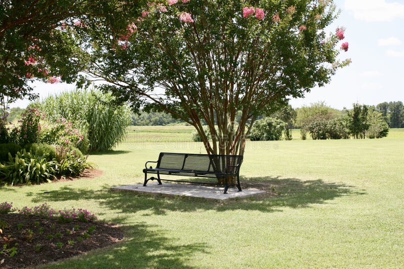 Peaceful bench in garden stock image. Image of tree, rest - 26594335
