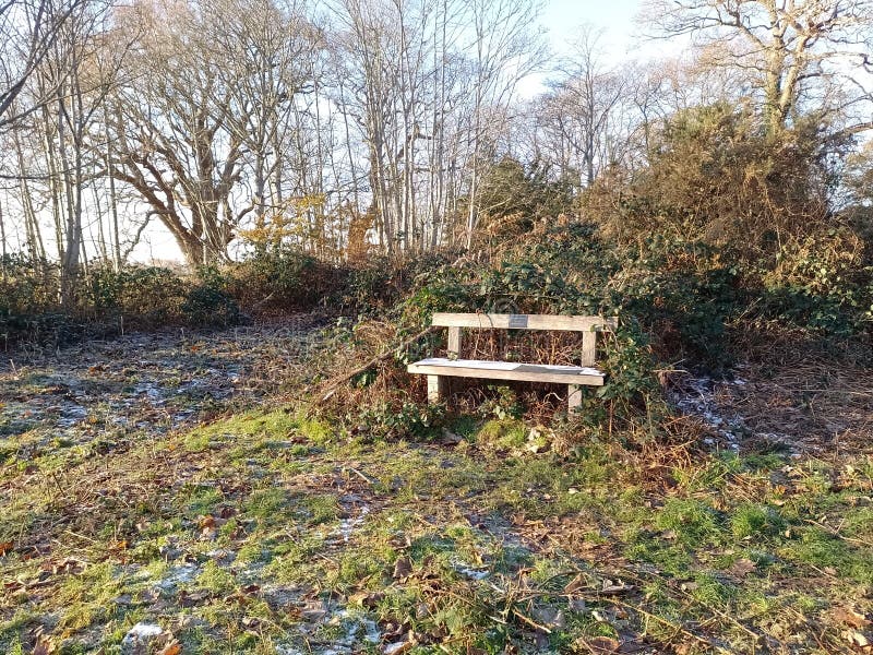 Bench, a Place To Sit, Memory Place, Memorial Bench Stock Photo - Image ...