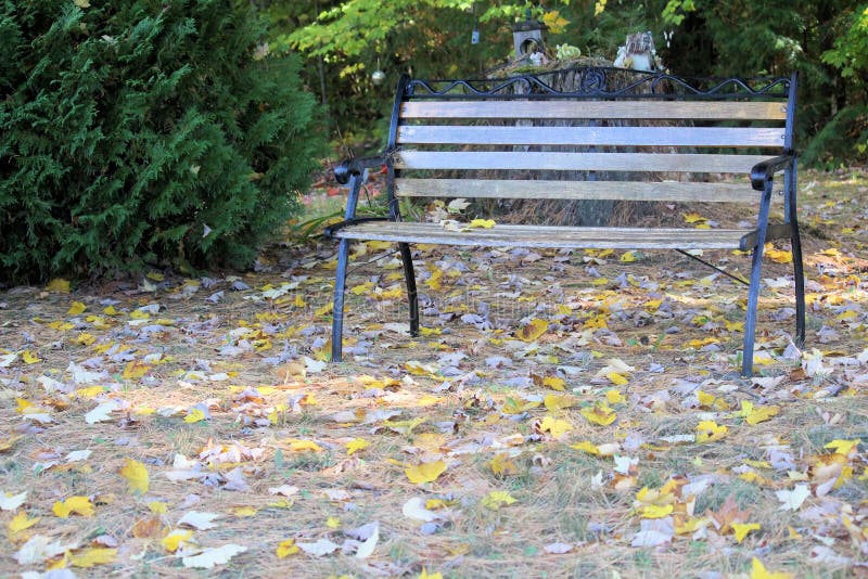 1,151 Bench Park Shade Trees Photos - Free & Royalty-Free Stock Photos ...