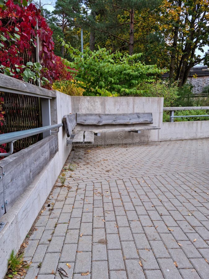 Bench at the Public Park. Modern Recreation Place. Pathway in ...