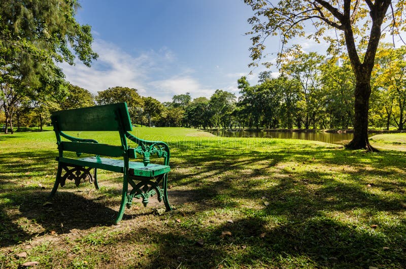 Bench in Public Park with Shadow of Green Tree Stock Image - Image of ...
