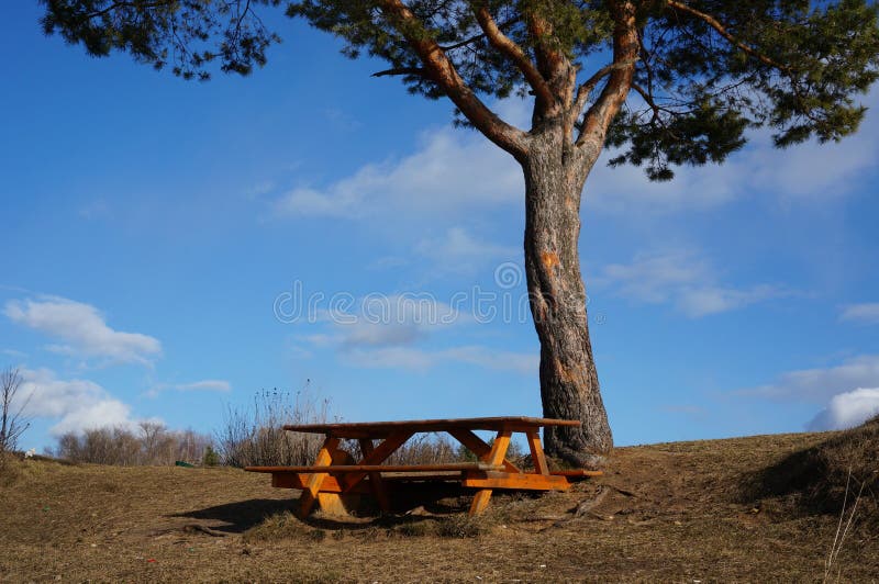 Bench stock photo. Image of lake, empty, summer, park - 53829210