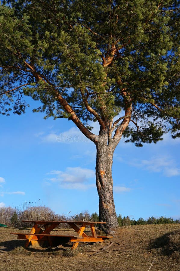 Bench stock photo. Image of landscape, pond, lake, scene - 53829282