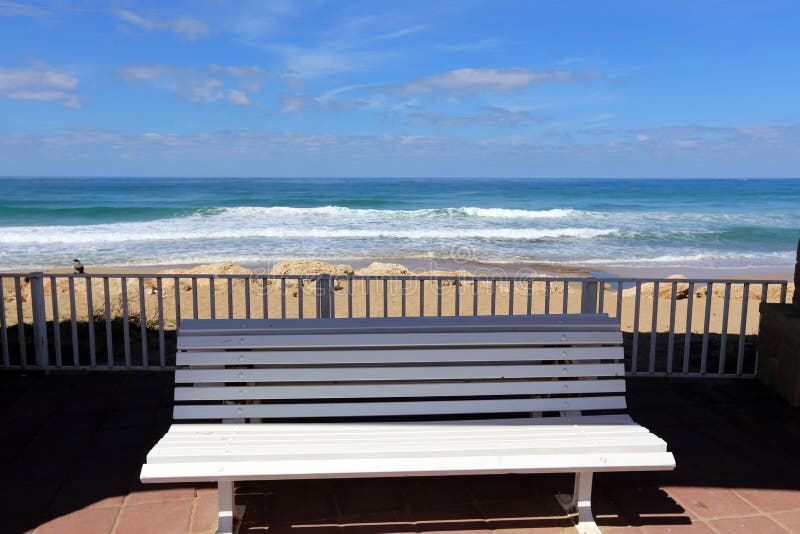 The Bench is Standing in the Park Stock Photo - Image of landscape ...