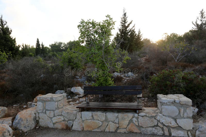 Bench stands in the park stock image. Image of village - 99577361
