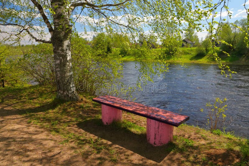 Bench on the river Bank stock image. Image of flowering - 120593891