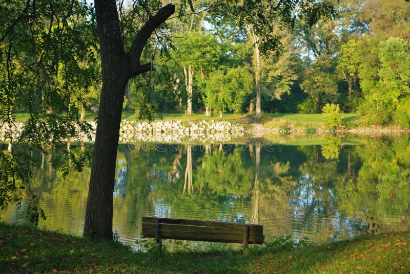 Bench by the river stock image. Image of rural, branch - 101238355