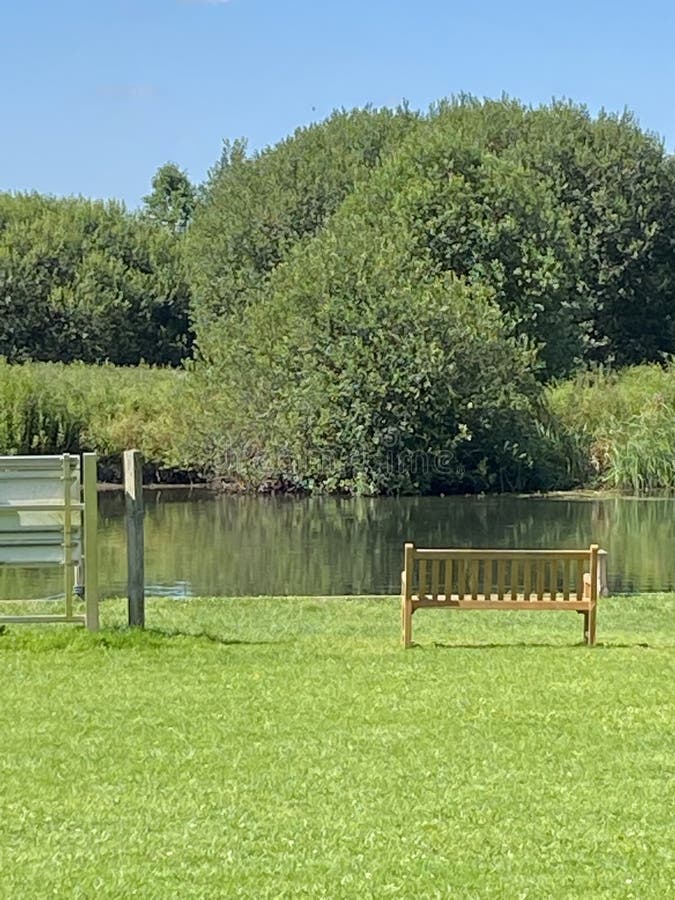 Bench at riverside stock image. Image of riverside, coltoshall - 251238657
